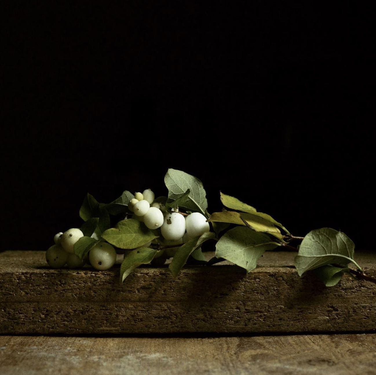 Gabriel Constantinescu – Photodept Amsterdam