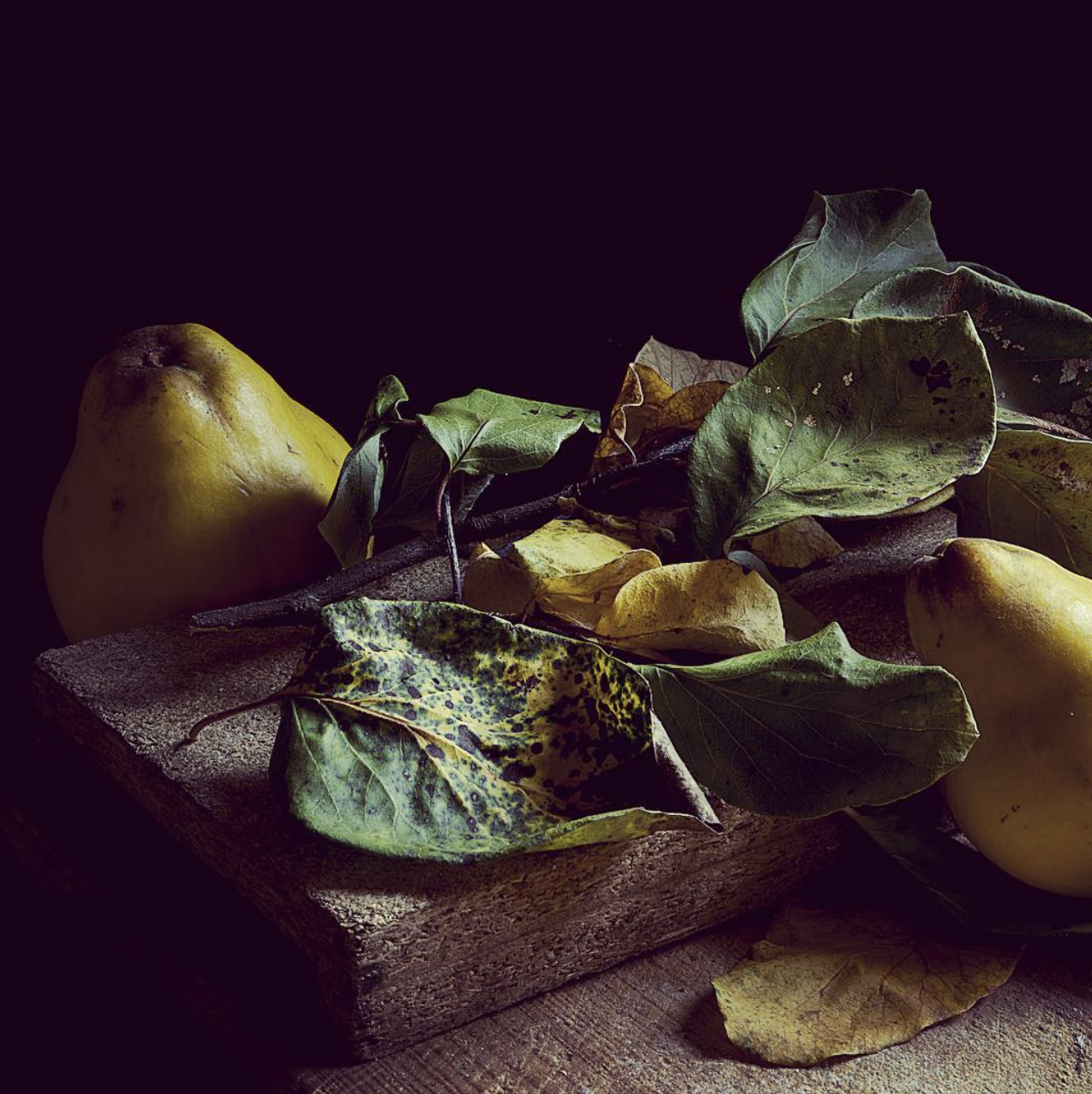 Gabriel Constantinescu – Photodept Amsterdam